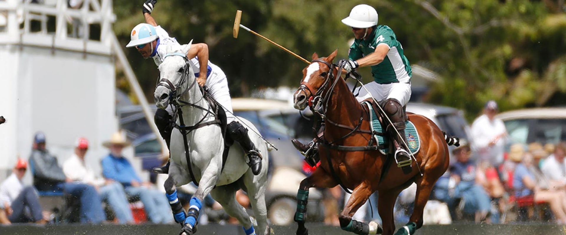 Polo in Aiken: The History and Legacy of This Prestigious Sport